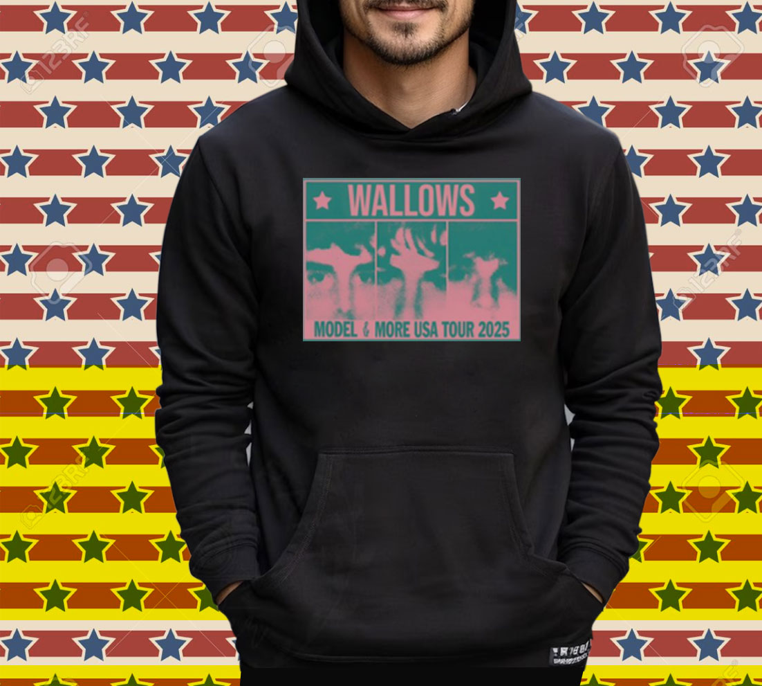 Wallows Info Wallows Model & More Usa Tour 2025 Tee Shirt